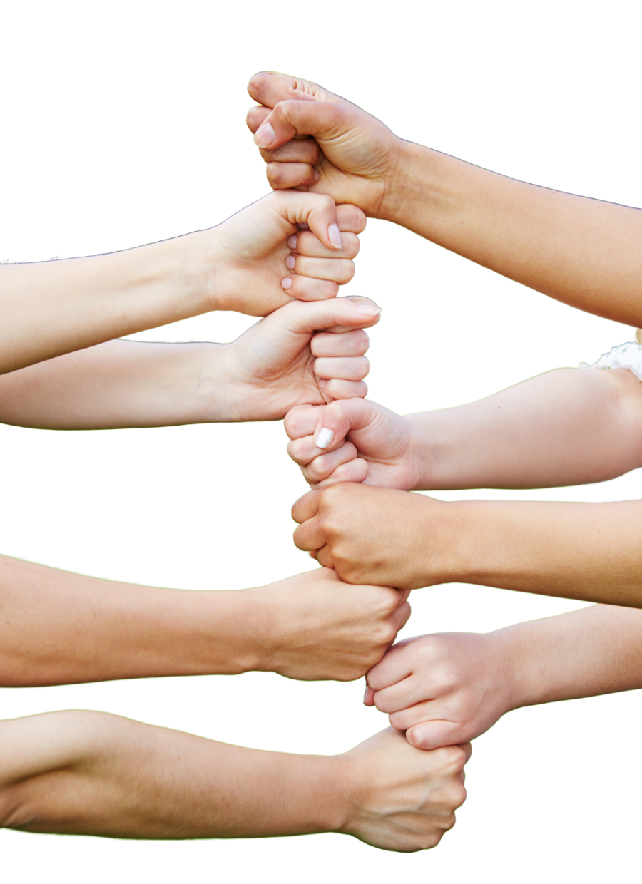 What is Adaptability and Scalability? – NEW ABC
